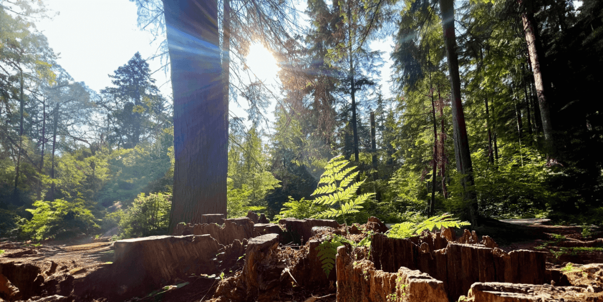 Healing the generational wound: understanding the impact of intergenerational trauma. | Vancity Blog